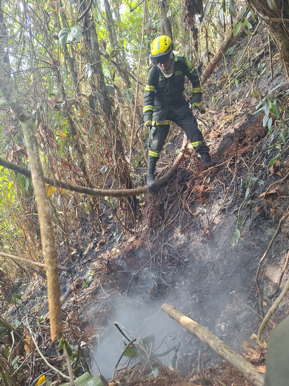 Fotos. ¡Pobre ecosistema! Incendio en Anzá fue controlado pero afectó ... Fotos. ¡Pobre ecosistema! Incendio en Anzá fue controlado pero afectó ...